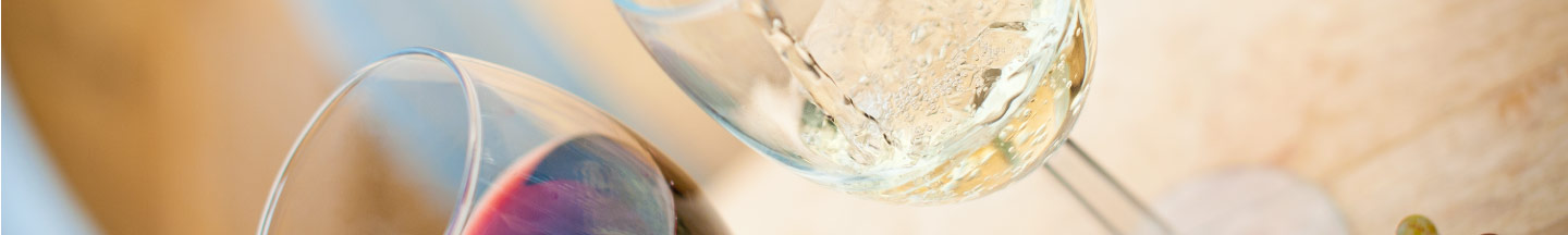 Wine 101 || Kalala Organic Estate Winery